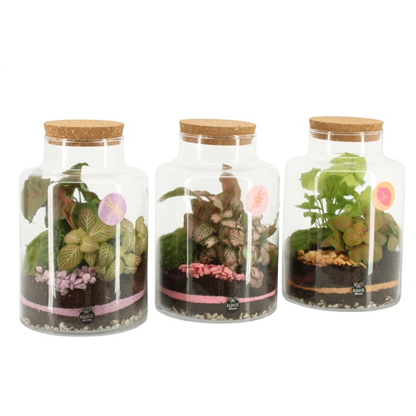 Just Plants Webshop