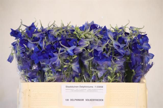 PP Flowers Webshop