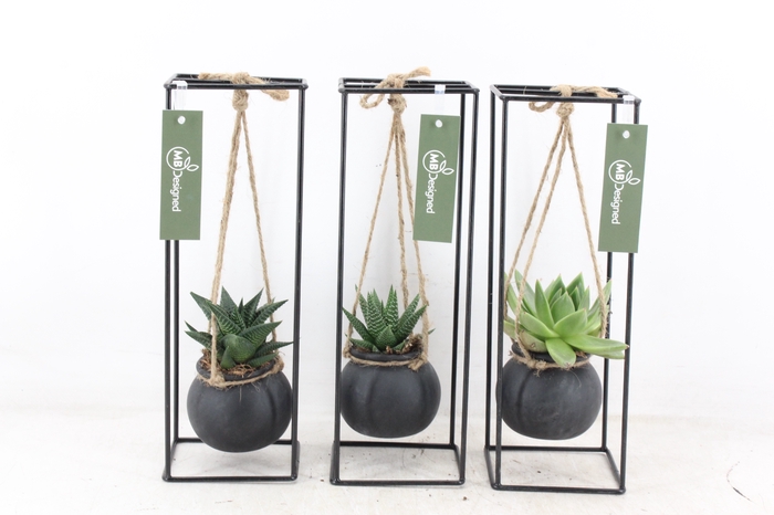 Harry van Hunen Webshop