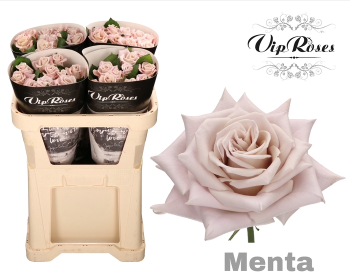 Vip Roses Webshop
