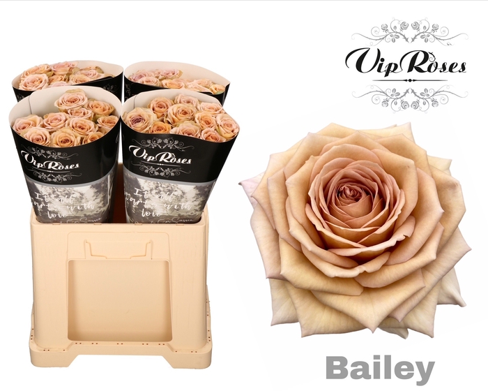 Vip Roses Webshop