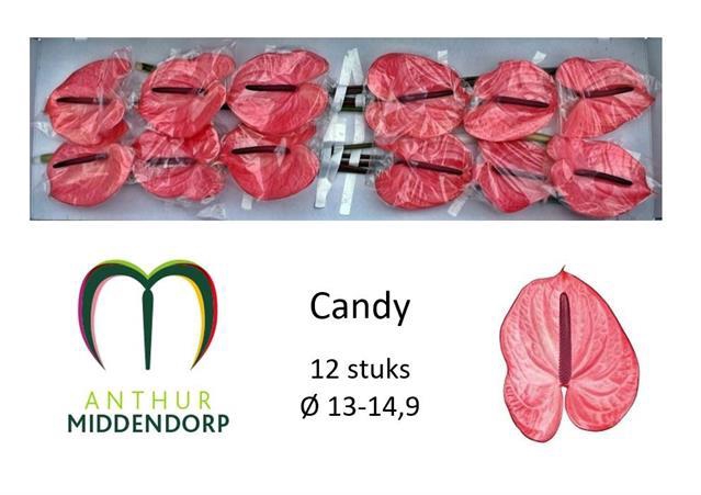 Skowasch Blumengroßhandel Webshop