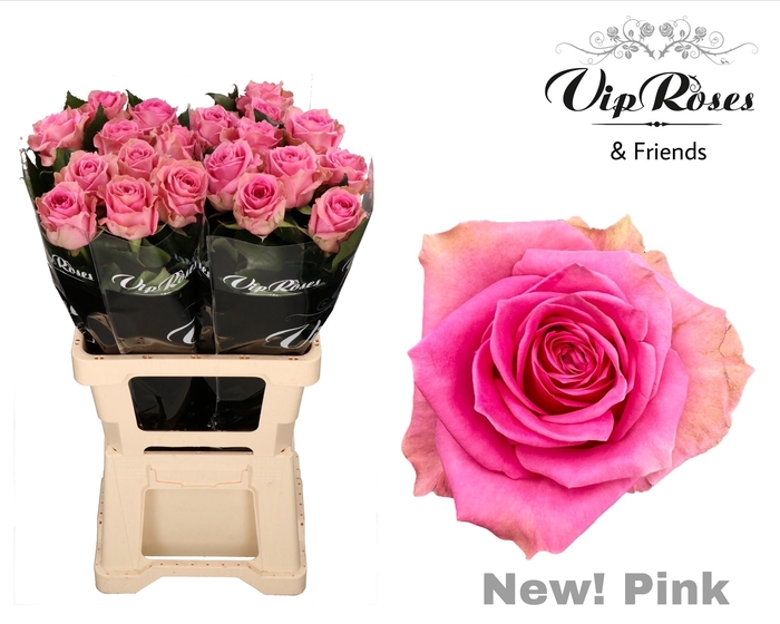 Vip Roses Webshop
