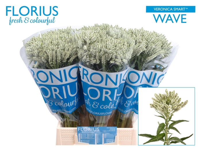 Helios Webshop