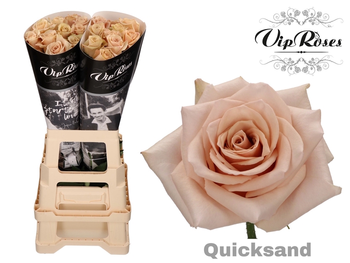 Vip Roses Webshop