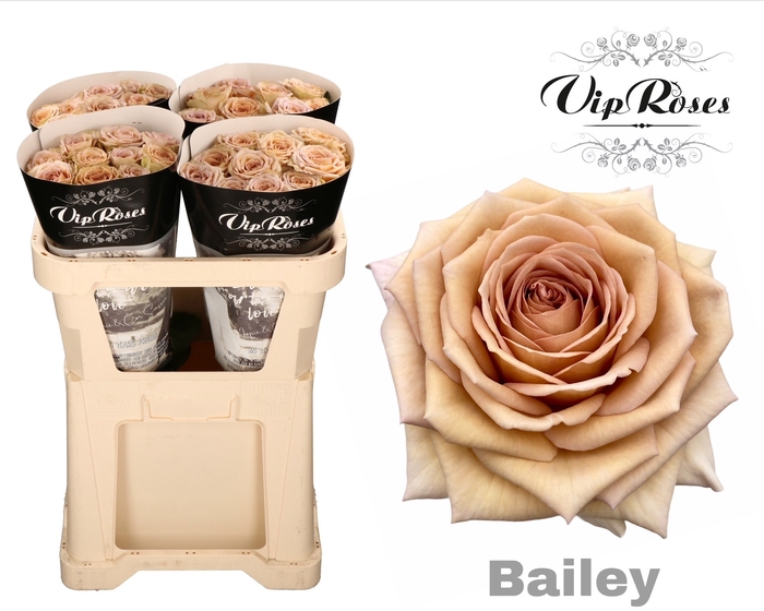 Vip Roses Webshop