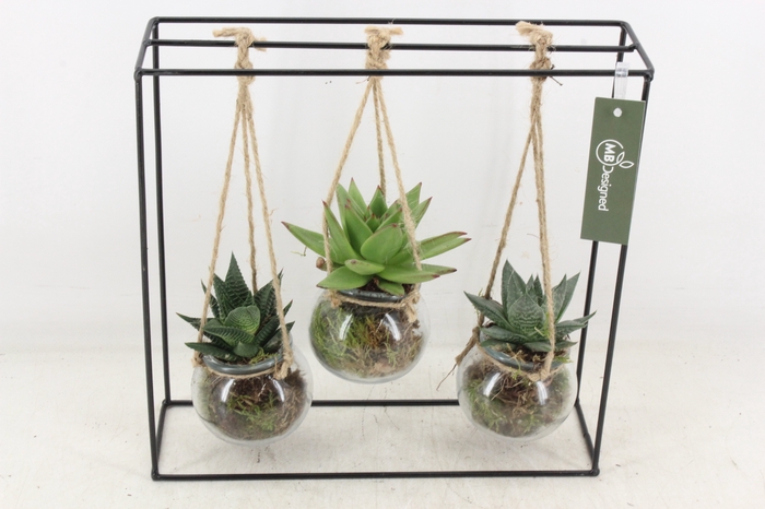 Harry van Hunen Webshop