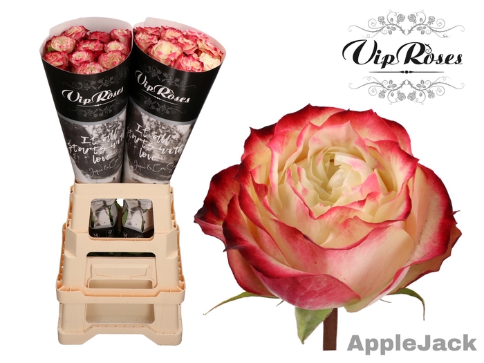 Vip Roses Webshop
