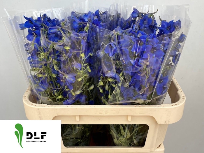 PP Flowers Webshop