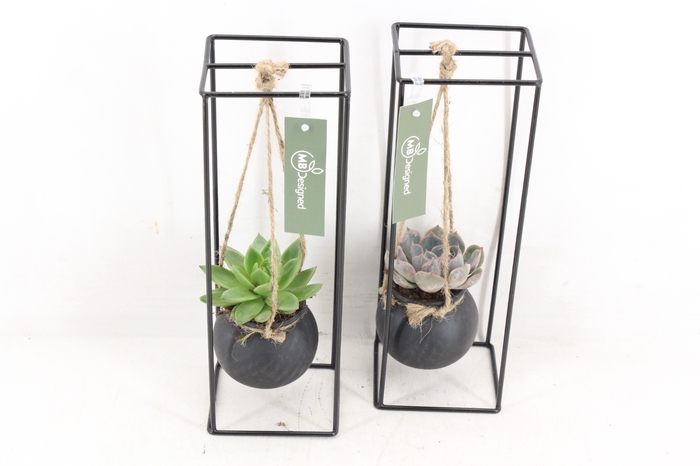 Harry van Hunen Webshop