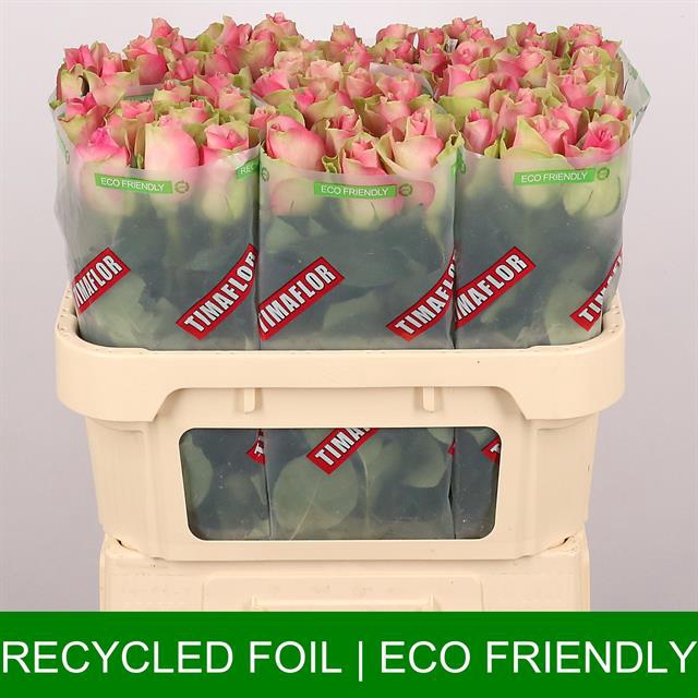 PP Flowers Webshop