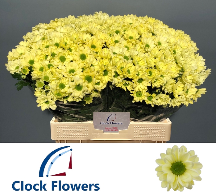 PP Flowers Webshop