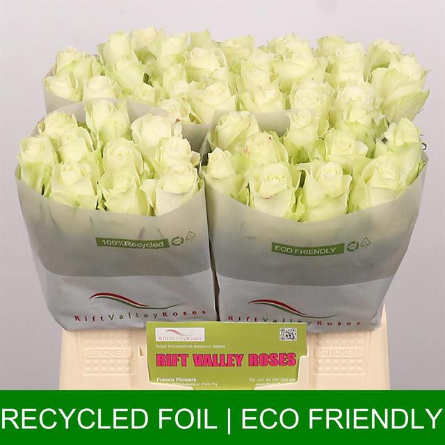 Les fleurs de Deborah