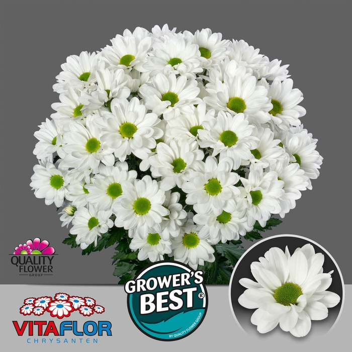 PP Flowers Webshop