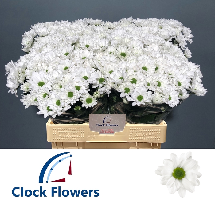 PP Flowers Webshop