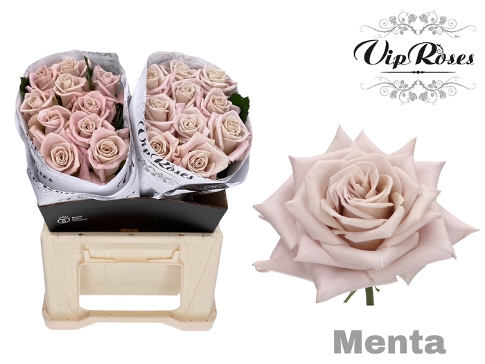 Vip Roses Webshop