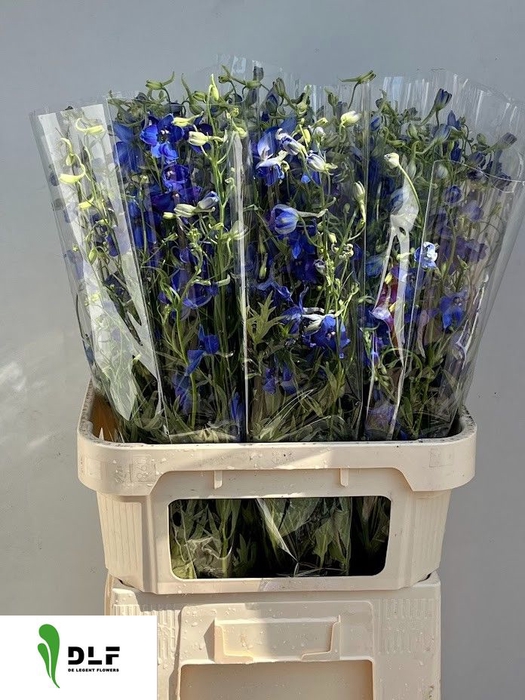 PP Flowers Webshop