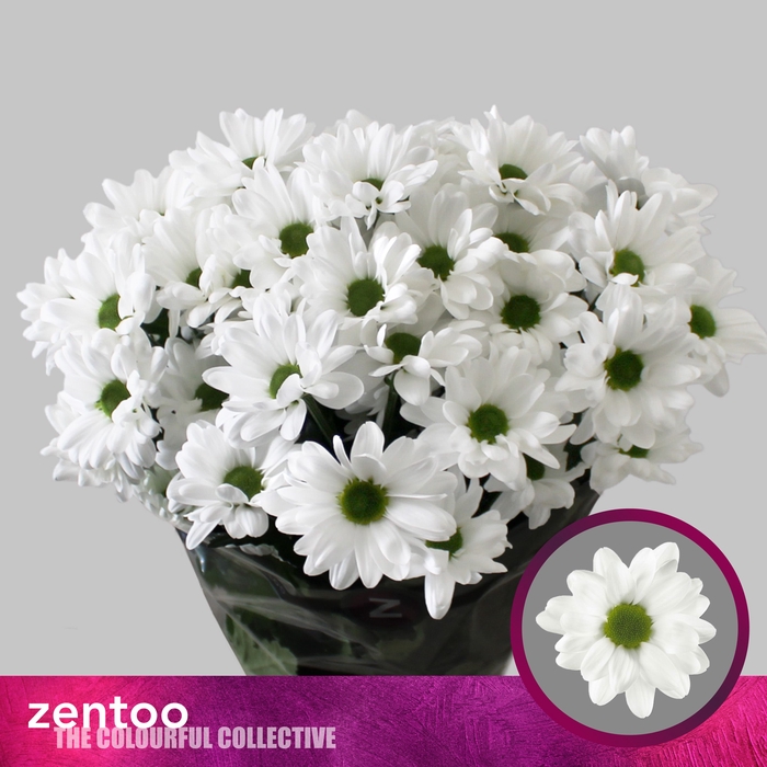 PP Flowers Webshop