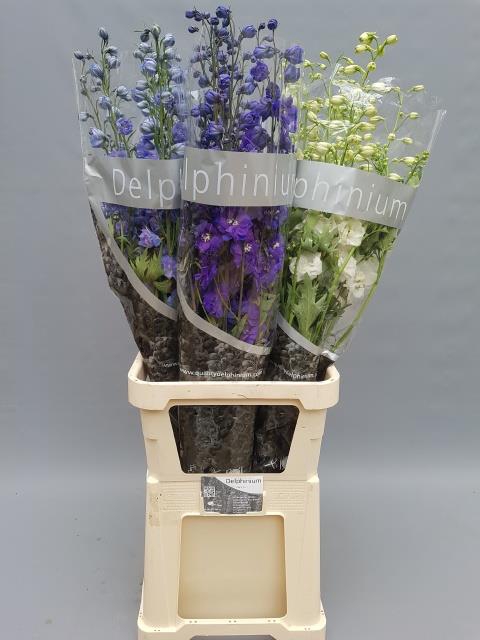 PP Flowers Webshop