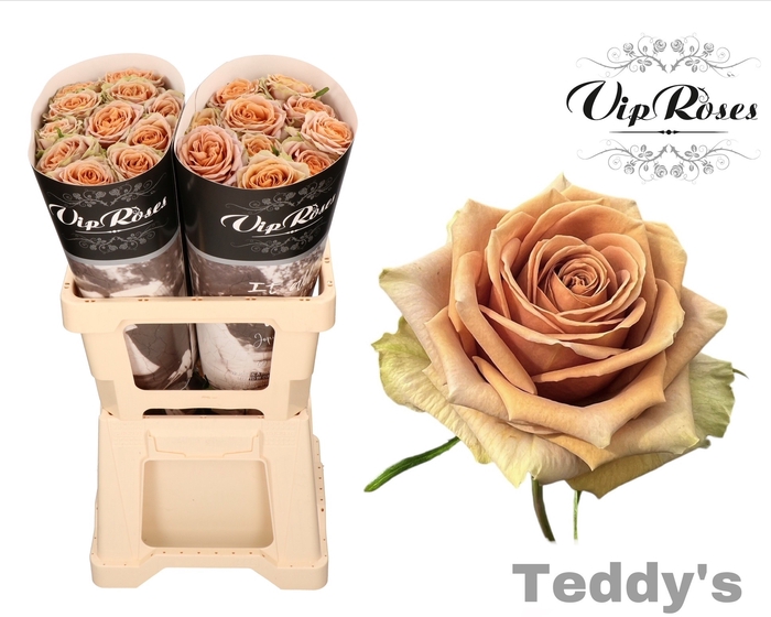 Vip Roses Webshop