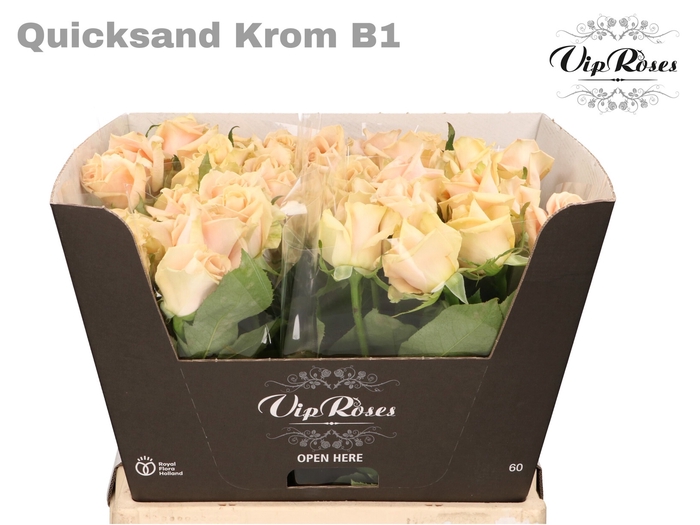 Vip Roses Webshop