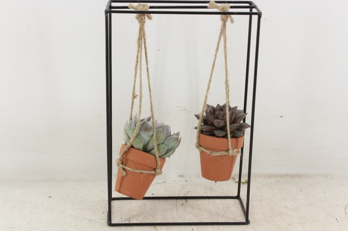 Harry van Hunen Webshop