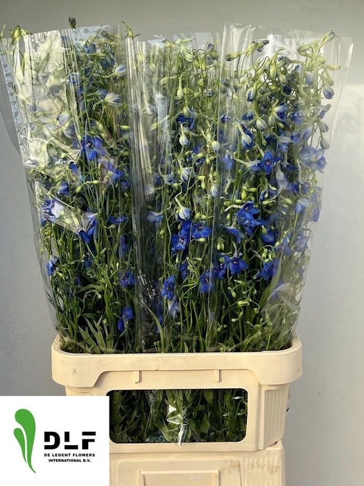 PP Flowers Webshop