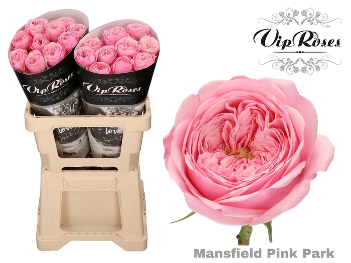 Vip Roses Webshop