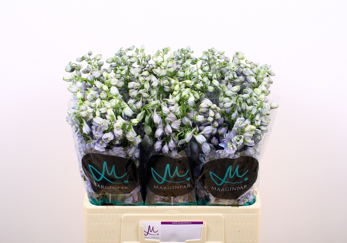 PP Flowers Webshop