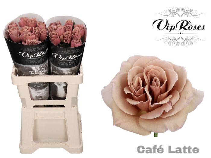 Vip Roses Webshop