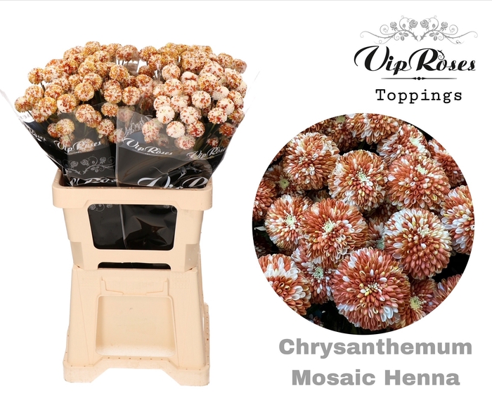 PP Flowers Webshop