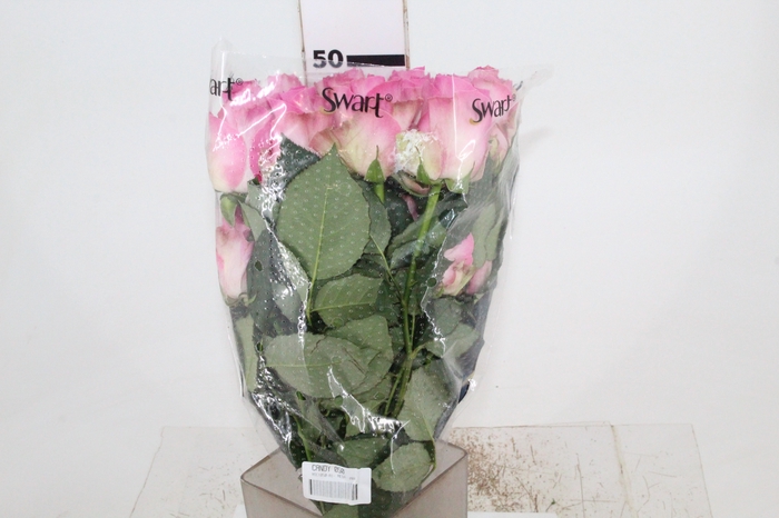 Holambelo - Loja Gran Flora