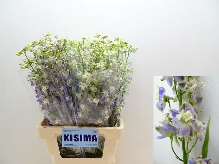 PP Flowers Webshop