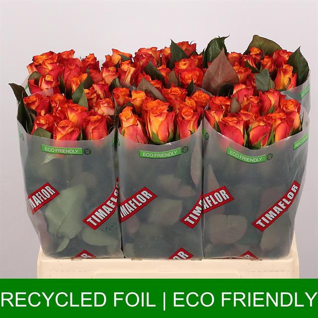 PevoFlowers Webshop