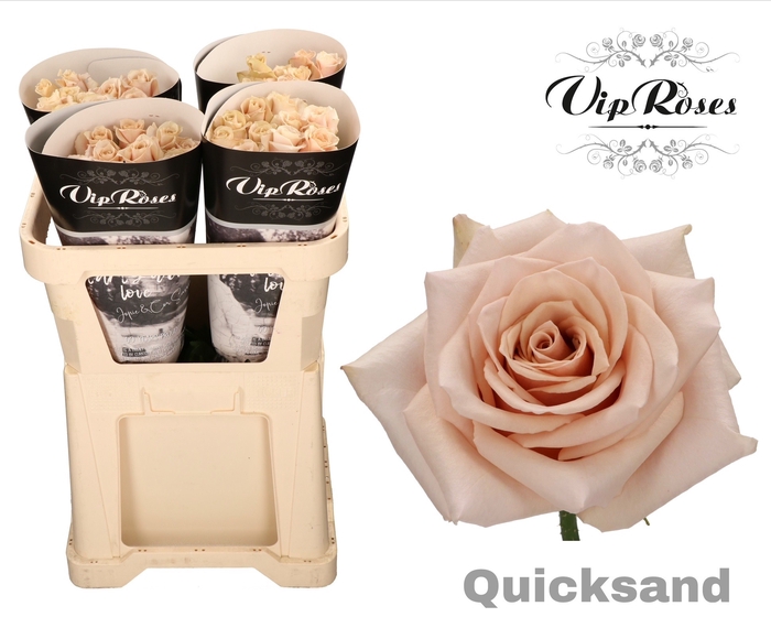 Vip Roses Webshop